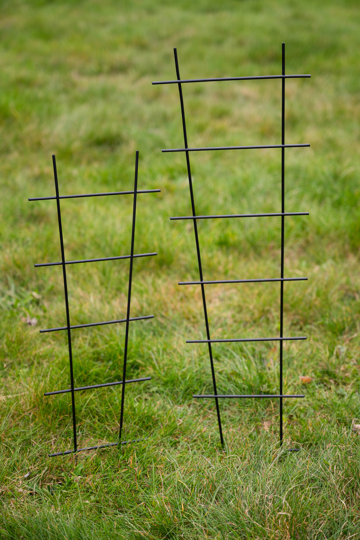 Ladder - support for climbing plants and shrubs - 65 cm. | Versanis.en